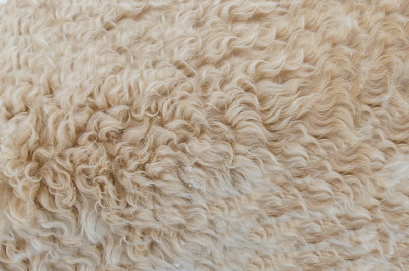 Common Fabrics For Beanies - Sumkcaps